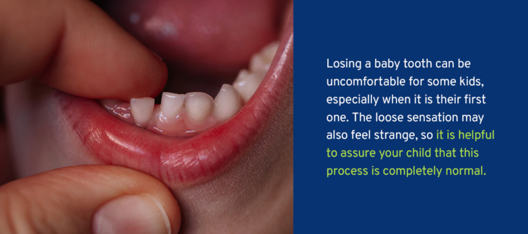 The Most Common Order Than Children Lose Their Baby Teeth