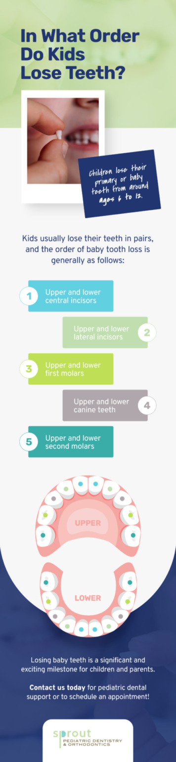 The Most Common Order Than Children Lose Their Baby Teeth